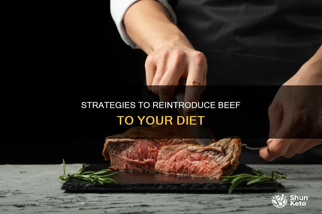 Strategies To Reintroduce Beef To Your Diet | ShunKeto