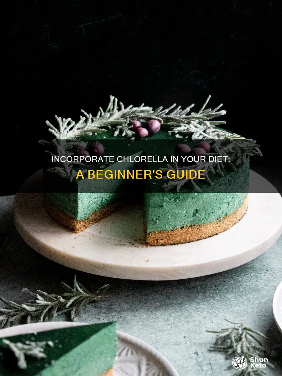 Incorporate Chlorella In Your Diet: A Beginner's Guide | ShunKeto