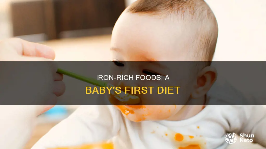 Iron-Rich Foods: A Baby's First Diet | ShunKeto