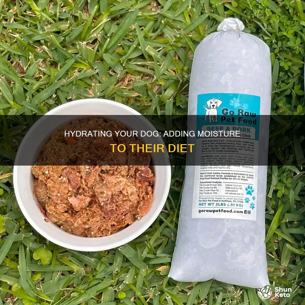 Hydrating Your Dog: Adding Moisture To Their Diet | ShunKeto