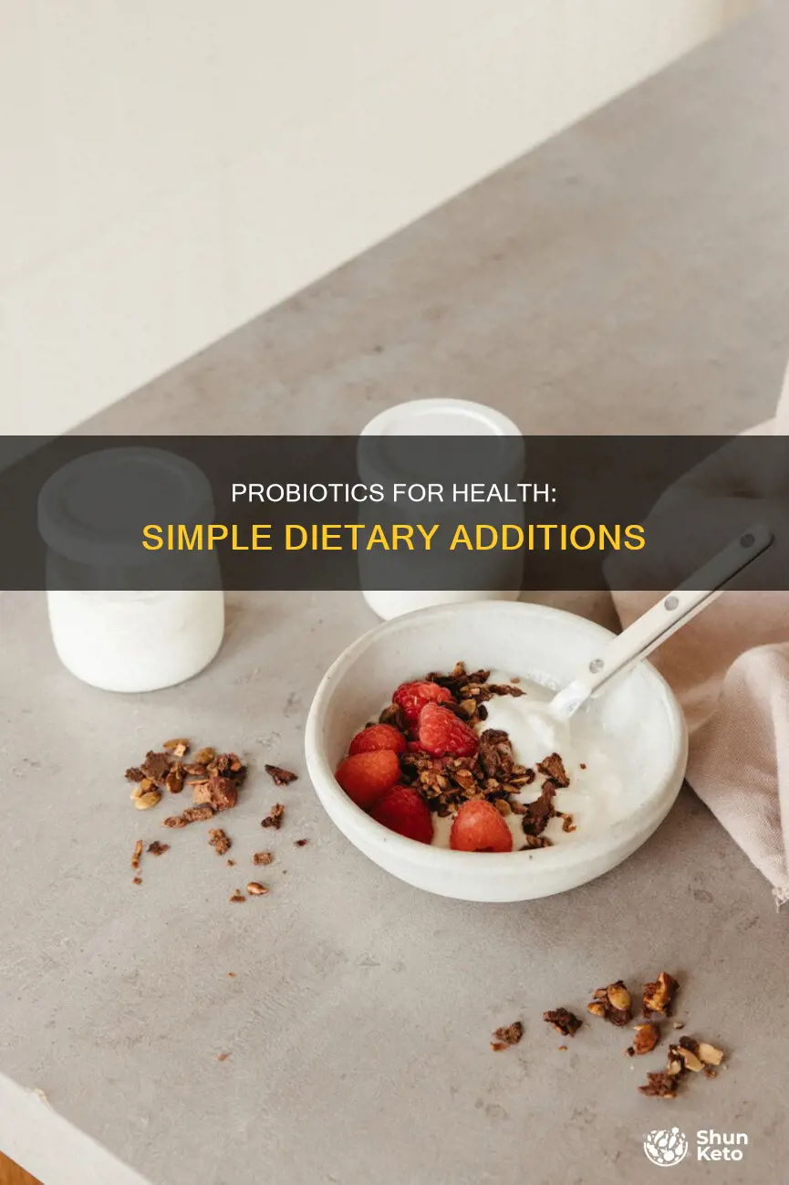 Probiotics For Health: Simple Dietary Additions | ShunKeto