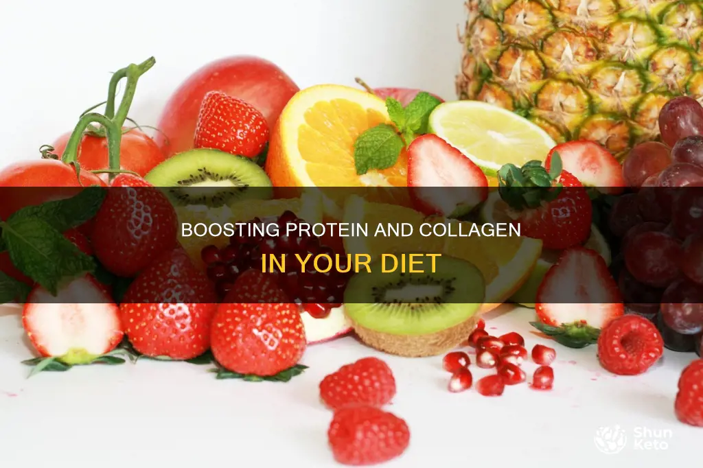 Boosting Protein And Collagen In Your Diet | ShunKeto