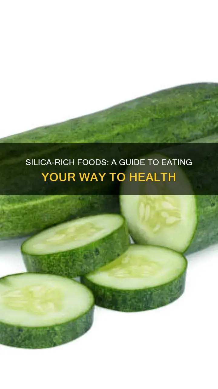 Silica-Rich Foods: A Guide To Eating Your Way To Health | ShunKeto