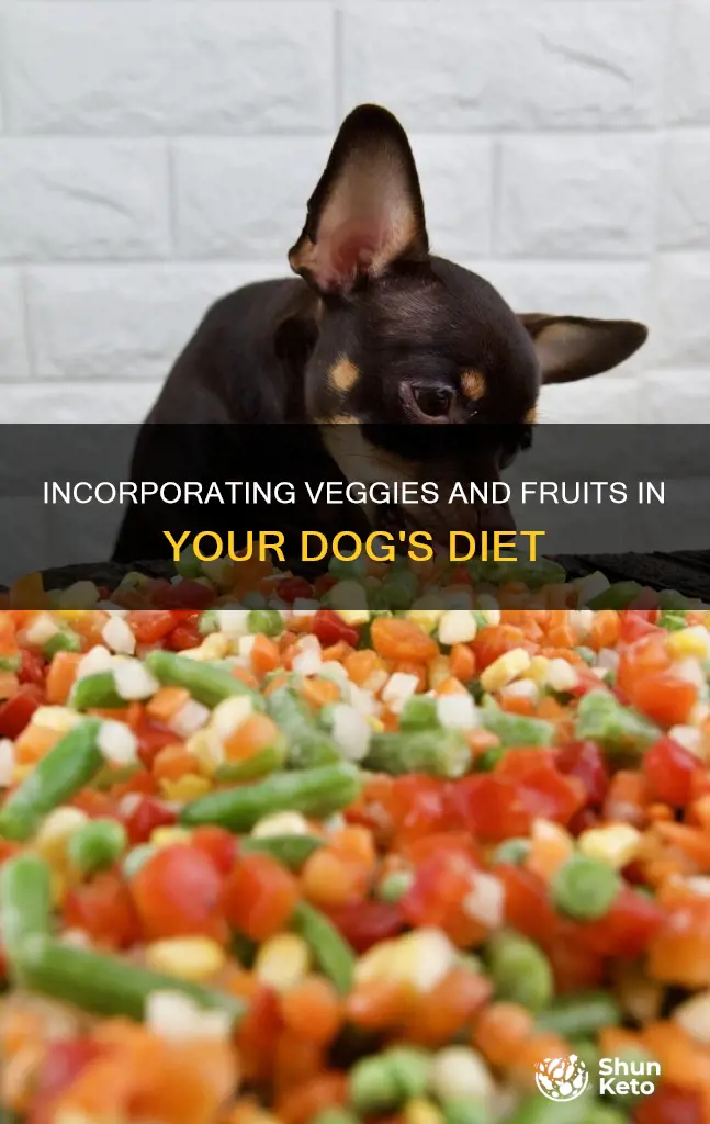Incorporating Veggies And Fruits In Your Dog's Diet | ShunKeto