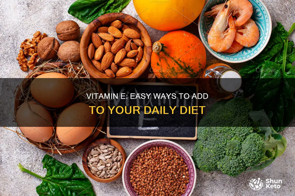 Vitamin E: Easy Ways To Add To Your Daily Diet | ShunKeto