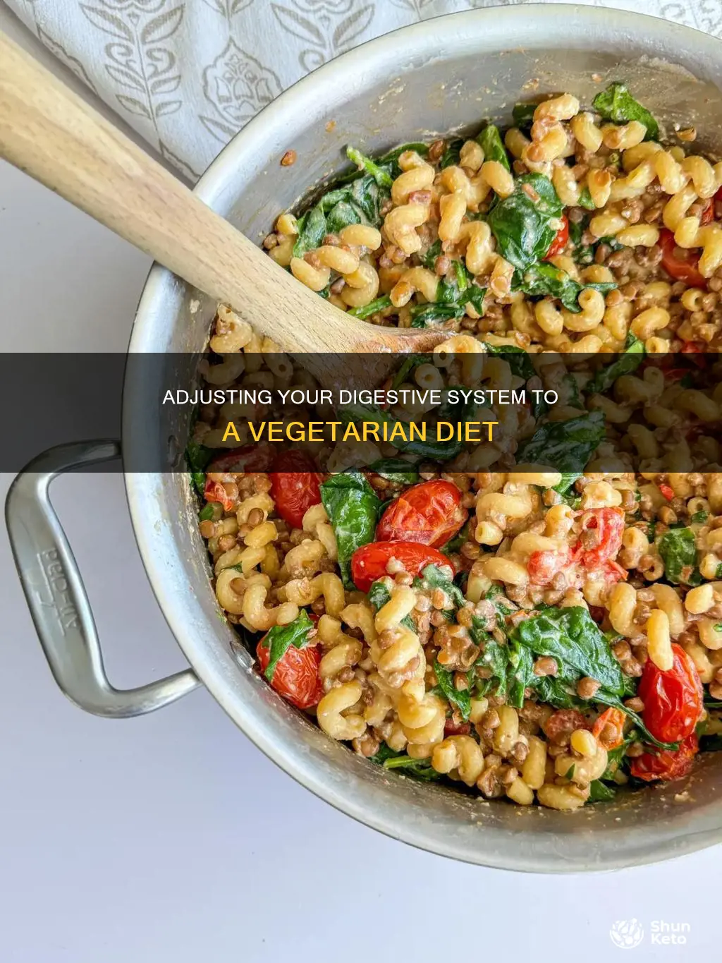 Adjusting Your Digestive System To A Vegetarian Diet | ShunKeto