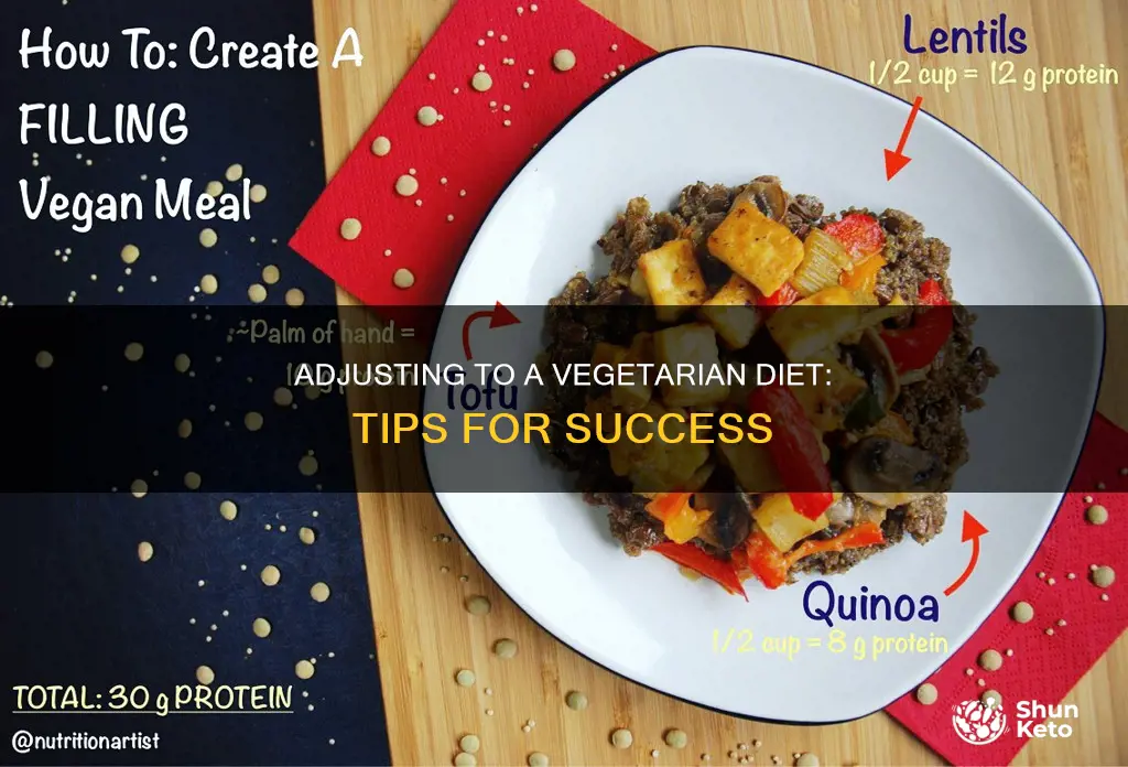Adjusting To A Vegetarian Diet: Tips For Success | ShunKeto