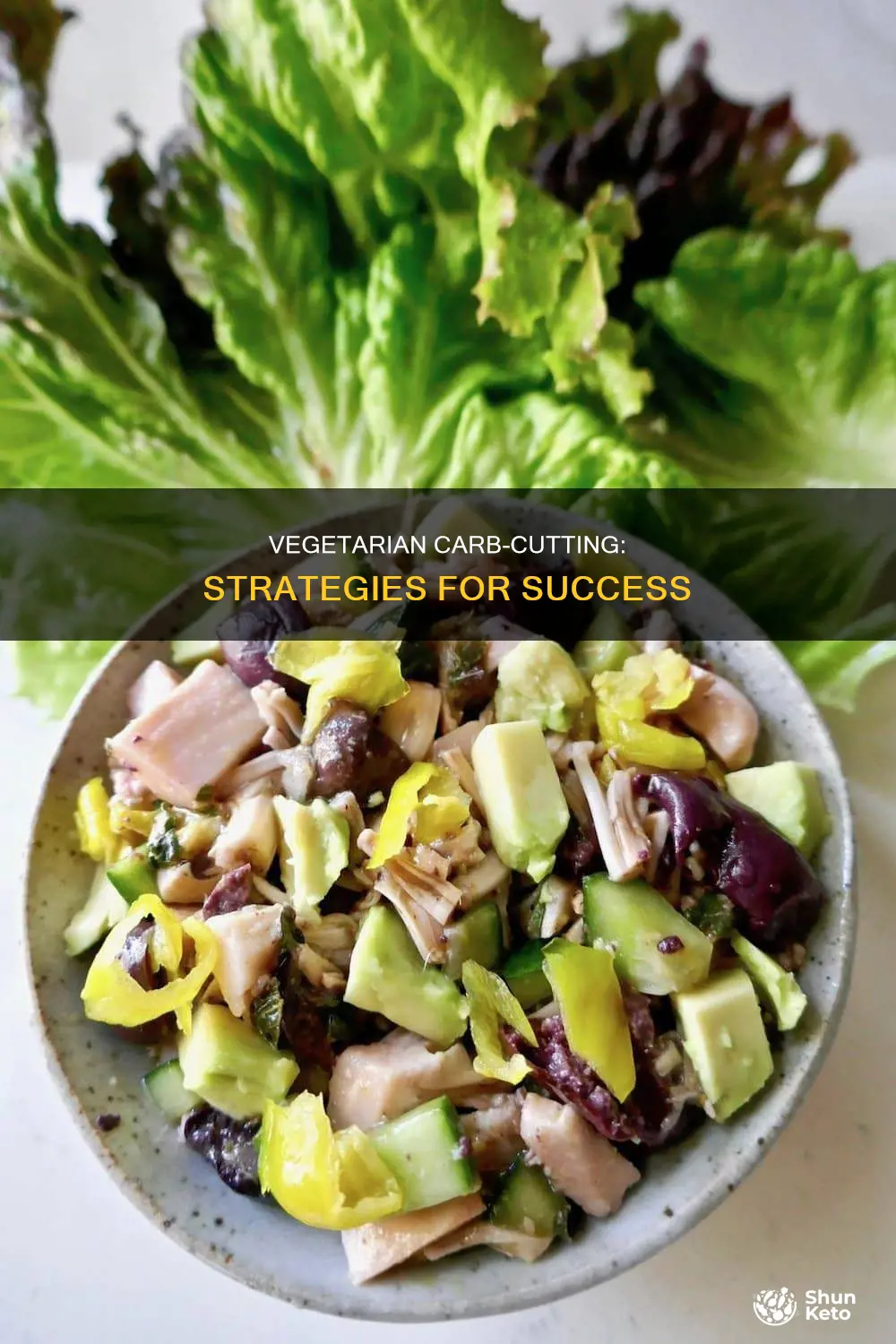 Vegetarian Carb-Cutting: Strategies For Success | ShunKeto