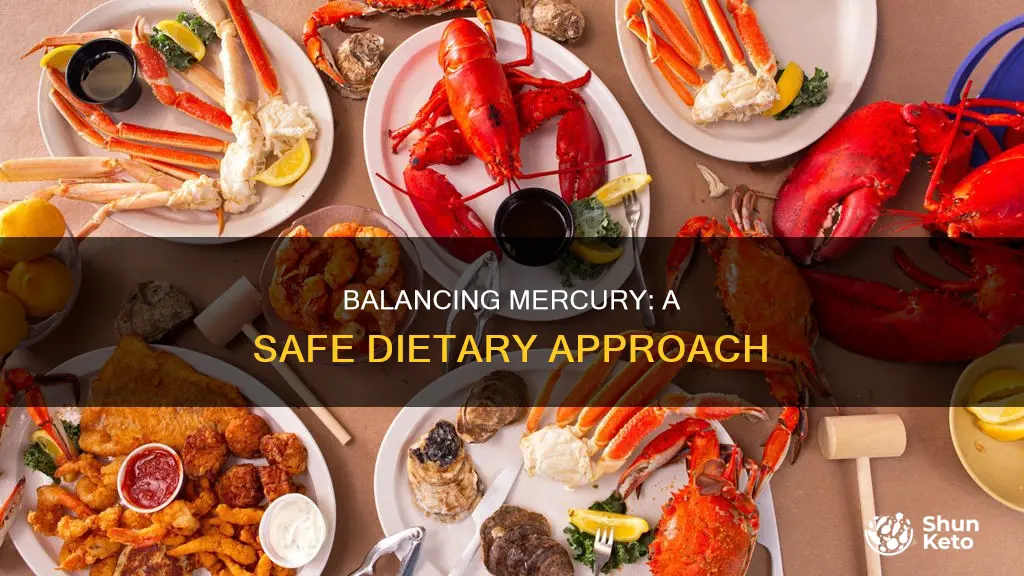 Balancing Mercury: A Safe Dietary Approach | ShunKeto
