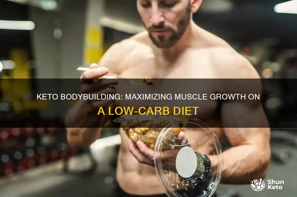 Keto Bodybuilding: Maximizing Muscle Growth On A Low-Carb Diet | ShunKeto