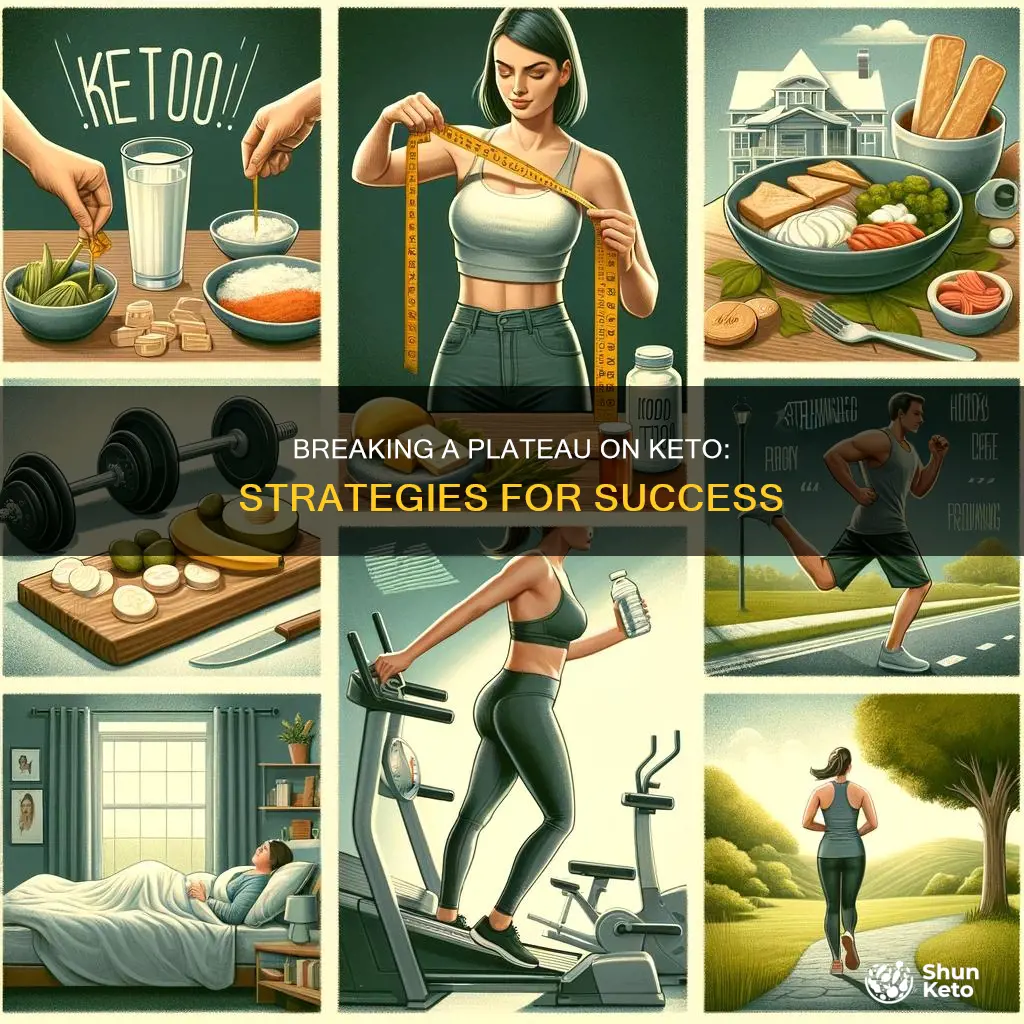Breaking A Plateau On Keto: Strategies For Success | ShunKeto