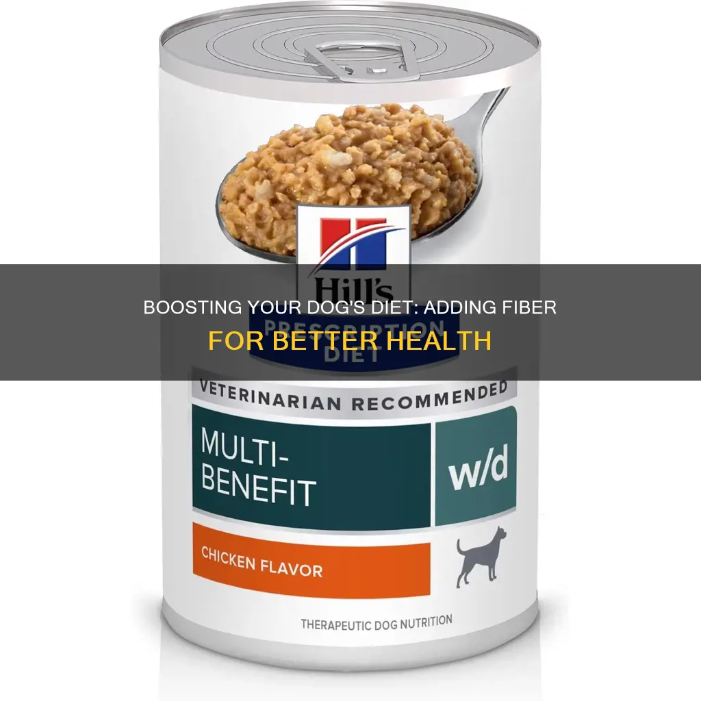 Boosting Your Dog's Diet: Adding Fiber For Better Health | ShunKeto