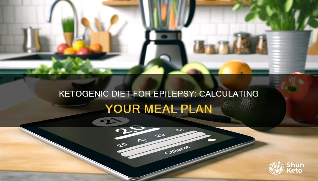 Ketogenic Diet For Epilepsy: Calculating Your Meal Plan | ShunKeto