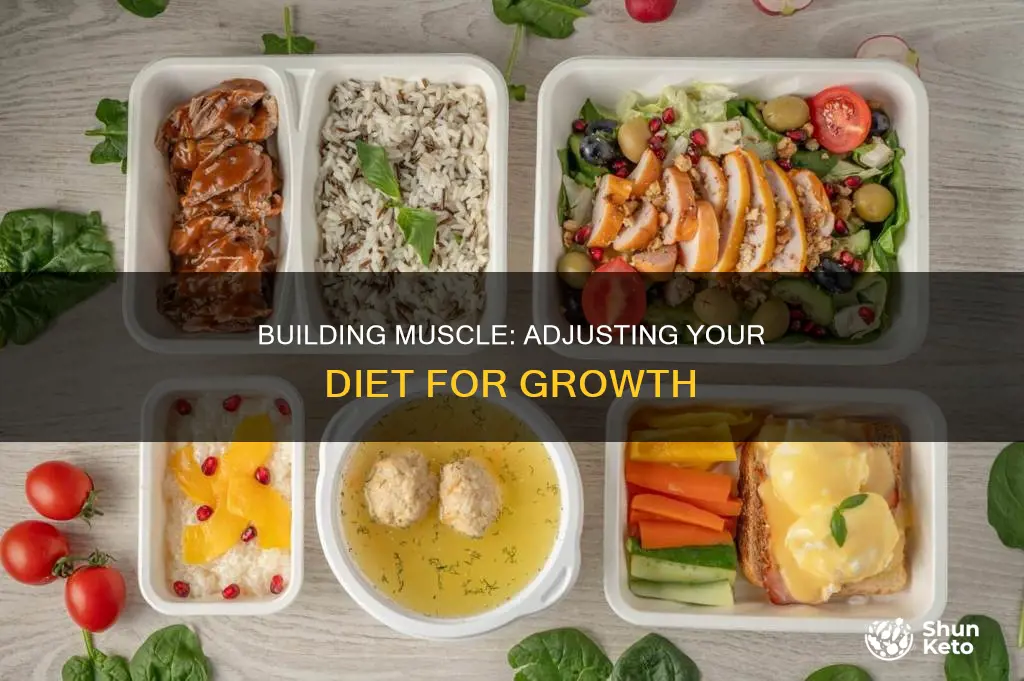 Building Muscle: Adjusting Your Diet For Growth | ShunKeto