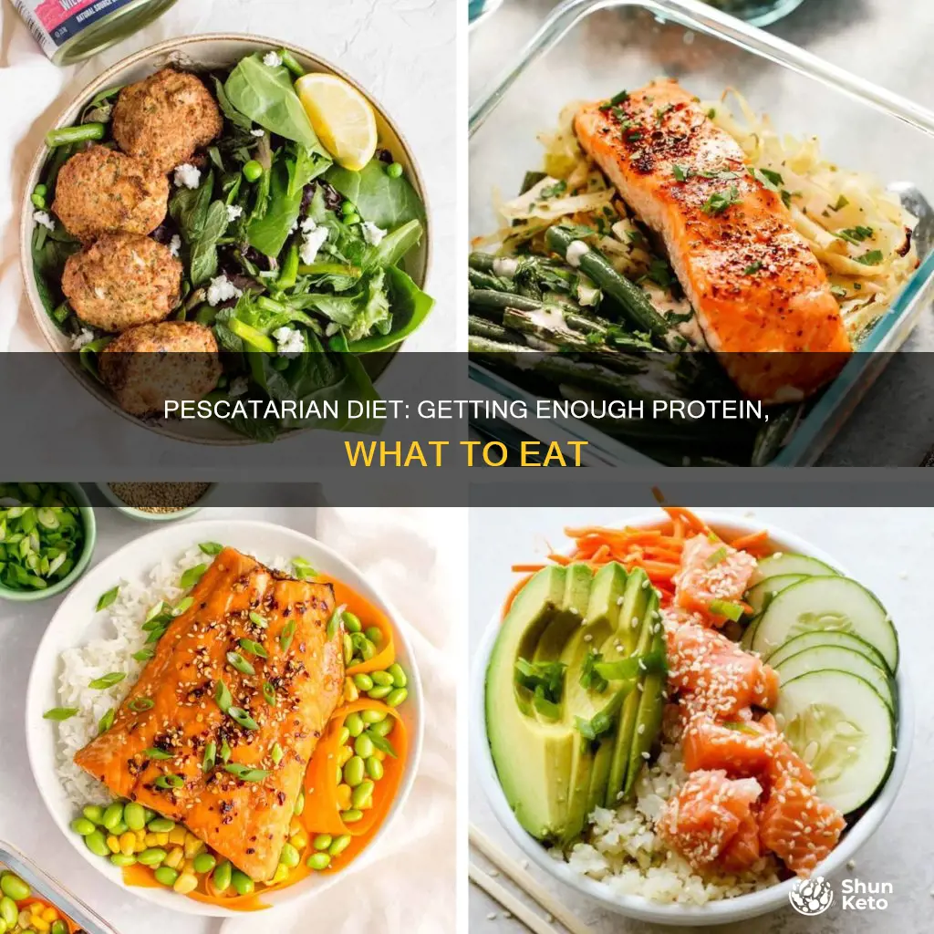 Pescatarian Diet: Getting Enough Protein, What To Eat | ShunKeto