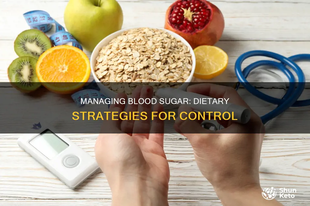 Managing Blood Sugar: Dietary Strategies For Control | ShunKeto