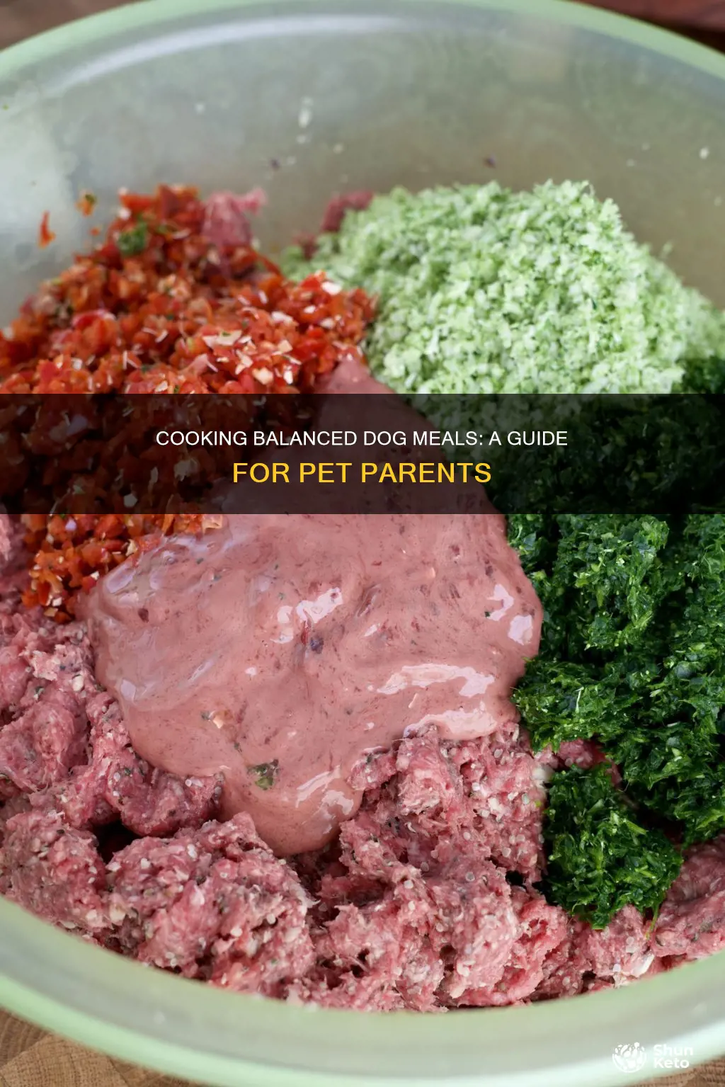 Cooking Balanced Dog Meals: A Guide For Pet Parents | ShunKeto