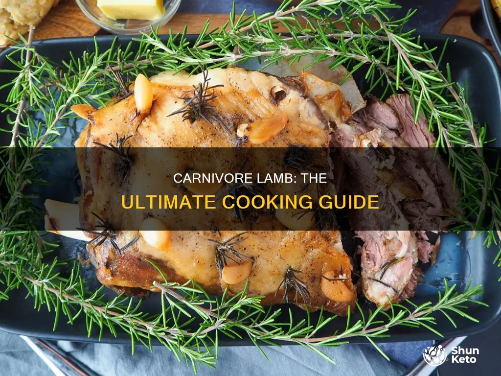 Carnivore Lamb: The Ultimate Cooking Guide | ShunKeto