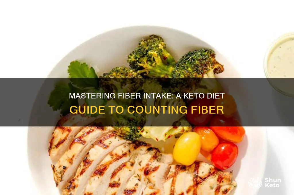 Mastering Fiber Intake: A Keto Diet Guide To Counting Fiber | ShunKeto