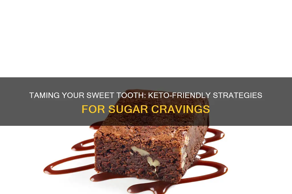 Taming Your Sweet Tooth: Keto-Friendly Strategies For Sugar Cravings ...