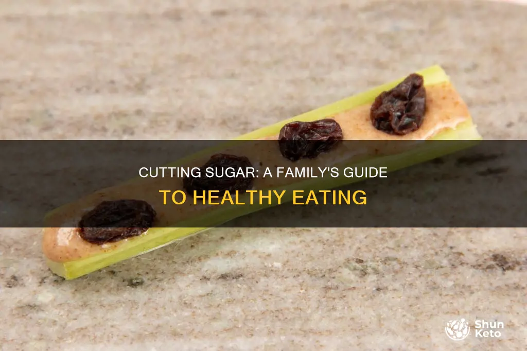 Cutting Sugar: A Family's Guide To Healthy Eating | ShunKeto