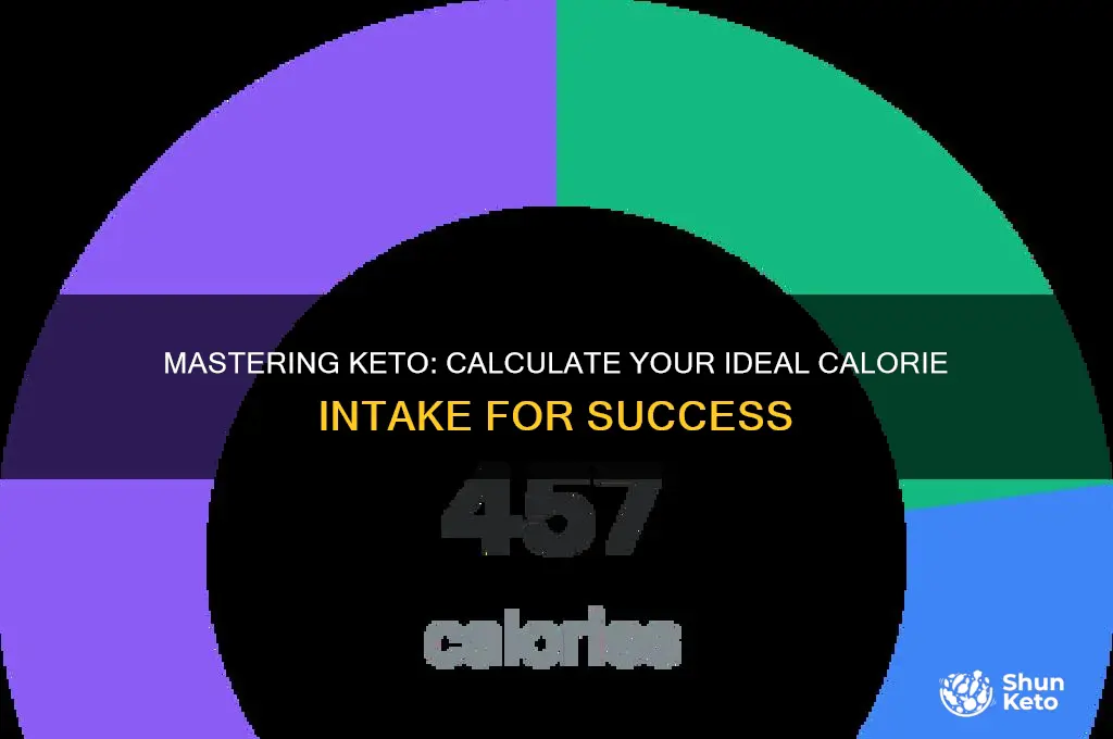 Mastering Keto: Calculate Your Ideal Calorie Intake For Success | ShunKeto