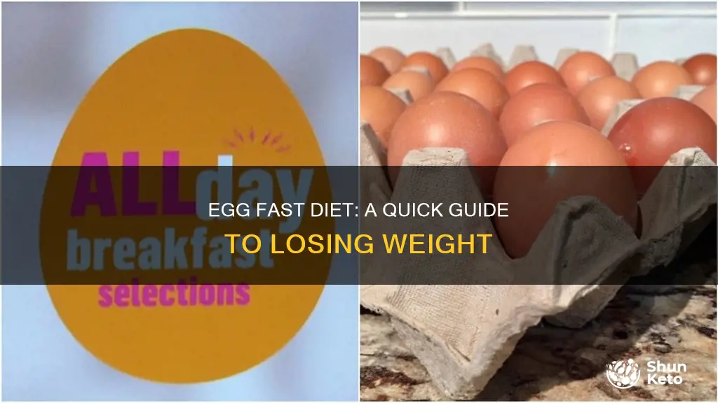 Egg Fast Diet: A Quick Guide To Losing Weight | ShunKeto