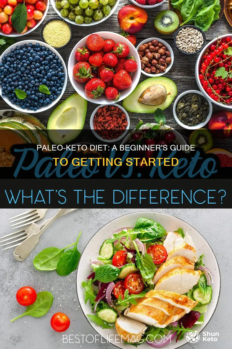 Paleo-Keto Diet: A Beginner's Guide To Getting Started | ShunKeto