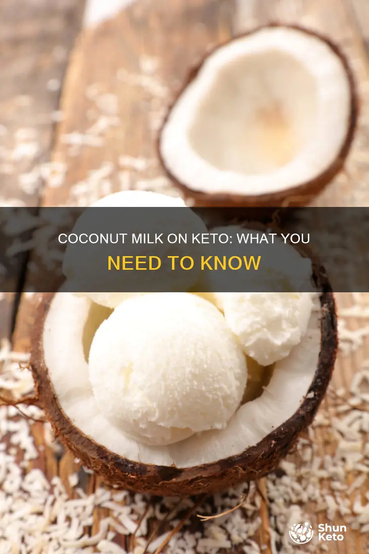 Coconut Milk On Keto: What You Need To Know | ShunKeto
