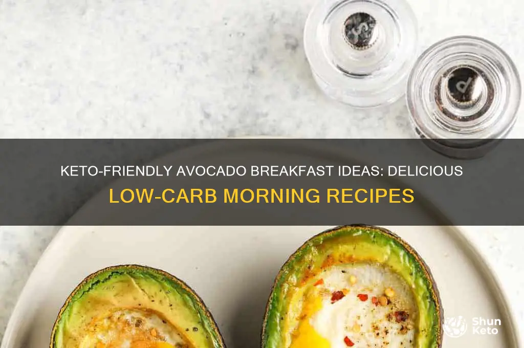 Keto-Friendly Avocado Breakfast Ideas: Delicious Low-Carb Morning ...