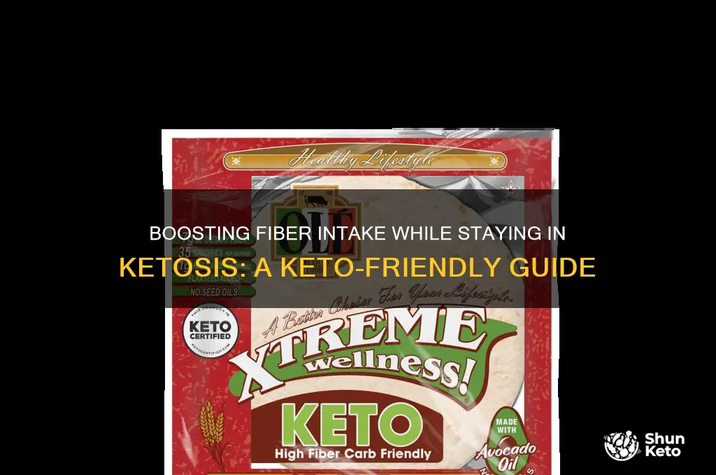 Boosting Fiber Intake While Staying In Ketosis: A Keto-Friendly Guide ...