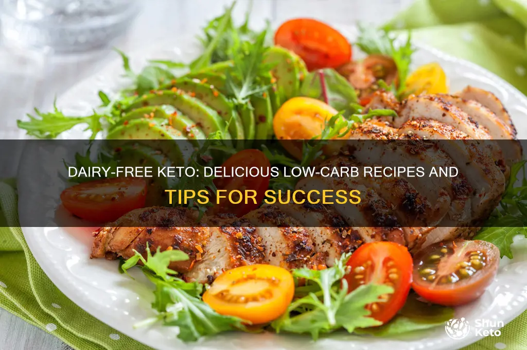 Dairy-Free Keto: Delicious Low-Carb Recipes And Tips For Success | ShunKeto