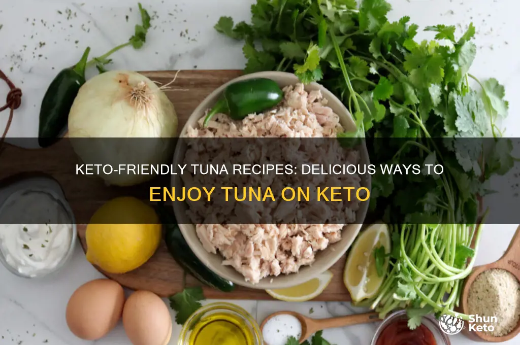 Keto-Friendly Tuna Recipes: Delicious Ways To Enjoy Tuna On Keto | ShunKeto