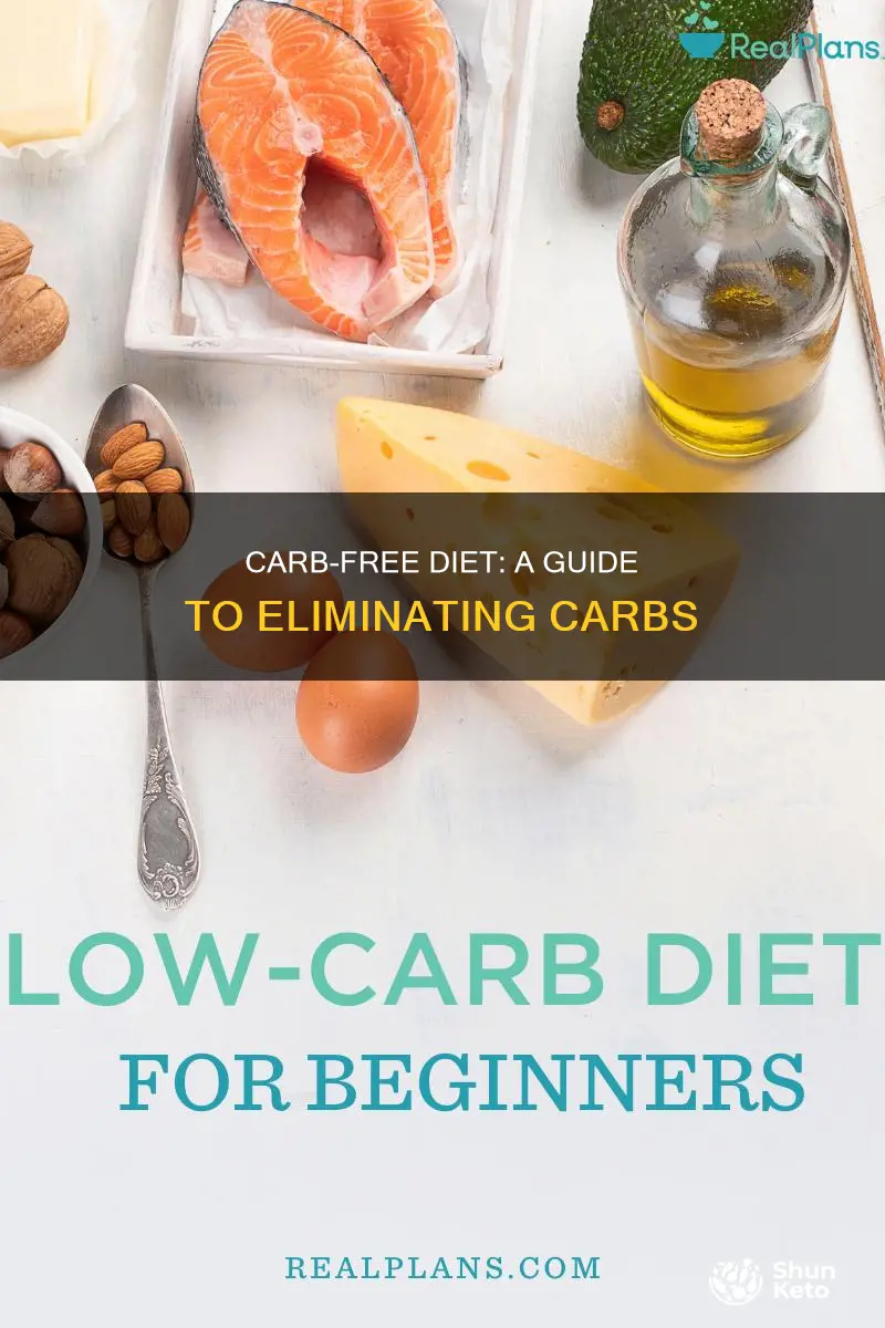 Carb-Free Diet: A Guide To Eliminating Carbs | ShunKeto