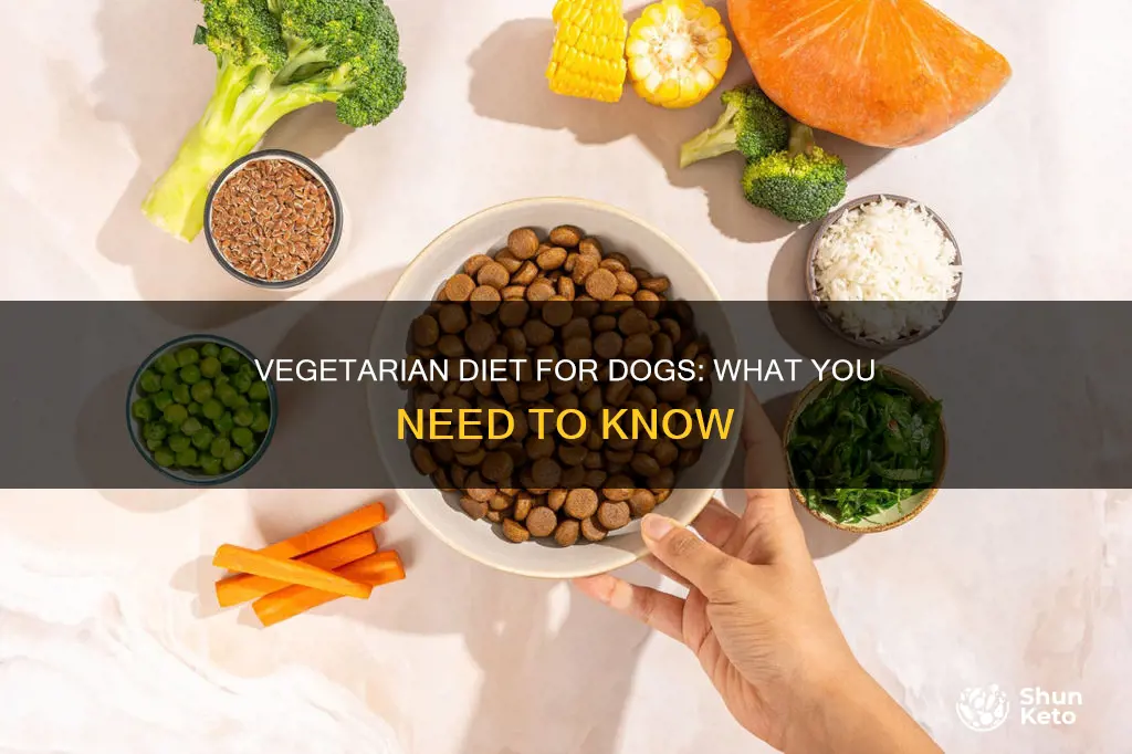 Vegetarian Diet For Dogs: What You Need To Know | ShunKeto