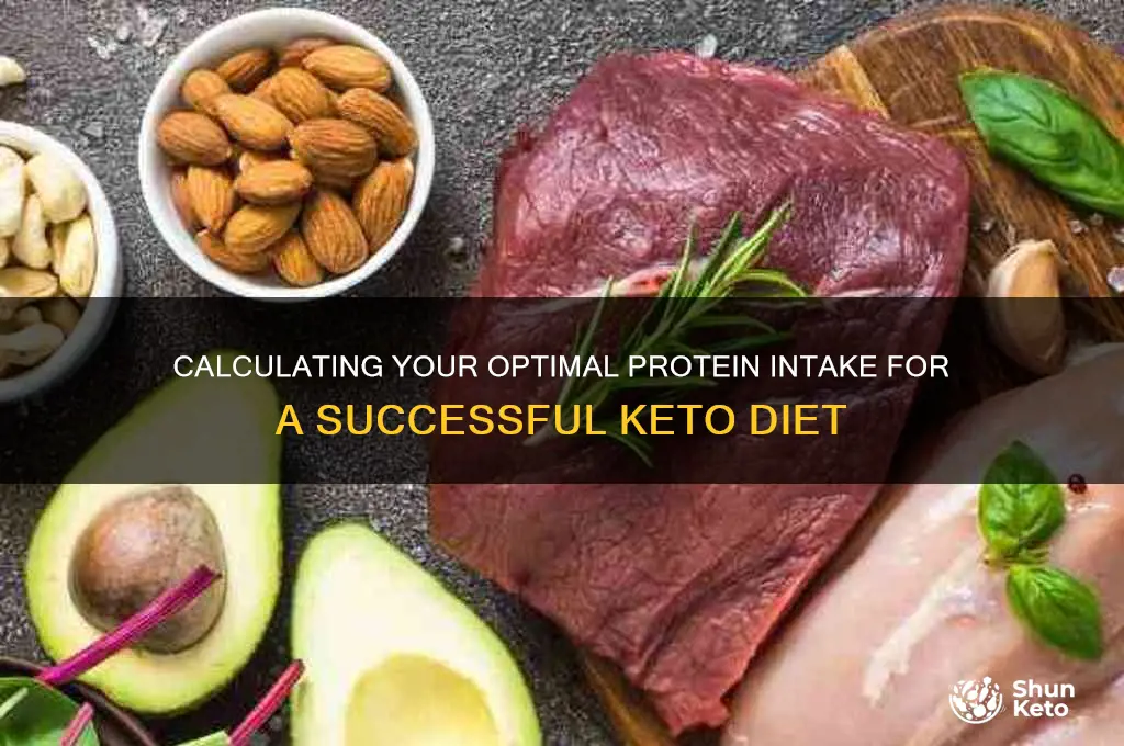 Calculating Your Optimal Protein Intake For A Successful Keto Diet ...