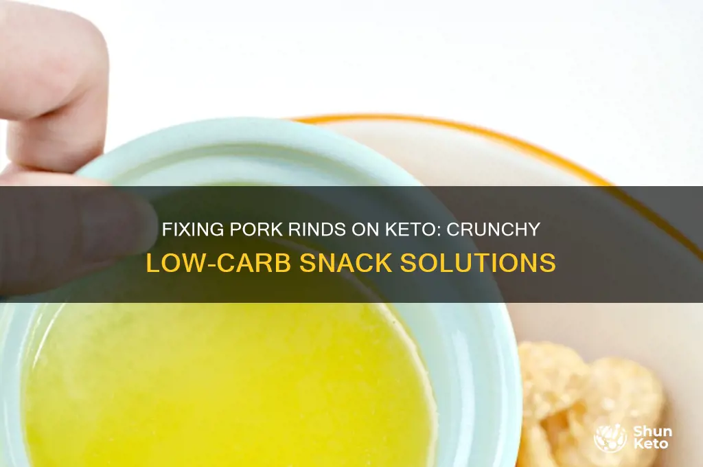 Fixing Pork Rinds On Keto: Crunchy Low-Carb Snack Solutions | ShunKeto