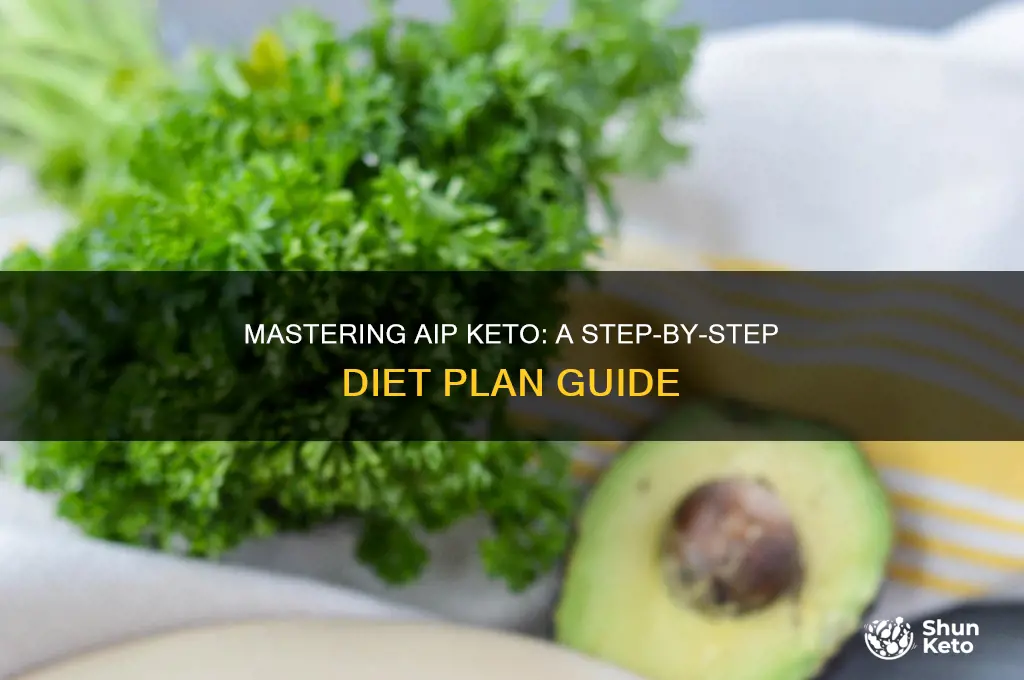 Mastering Aip Keto: A Step-By-Step Diet Plan Guide | ShunKeto