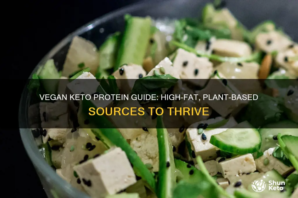 Vegan Keto Protein Guide: High-Fat, Plant-Based Sources To Thrive ...