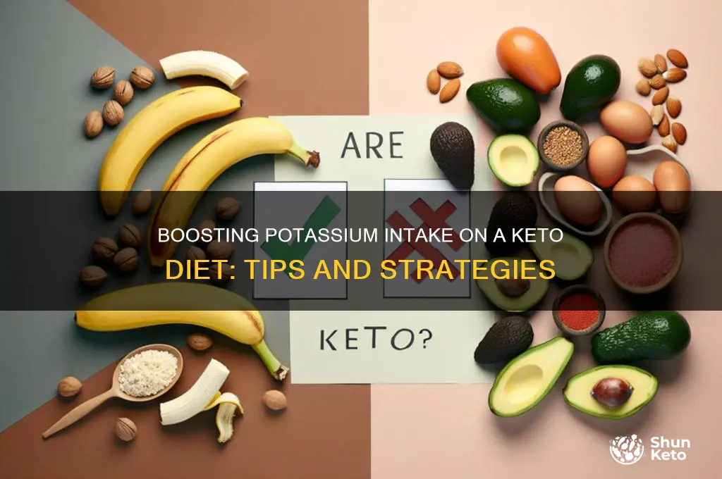 Boosting Potassium Intake On A Keto Diet: Tips And Strategies | ShunKeto