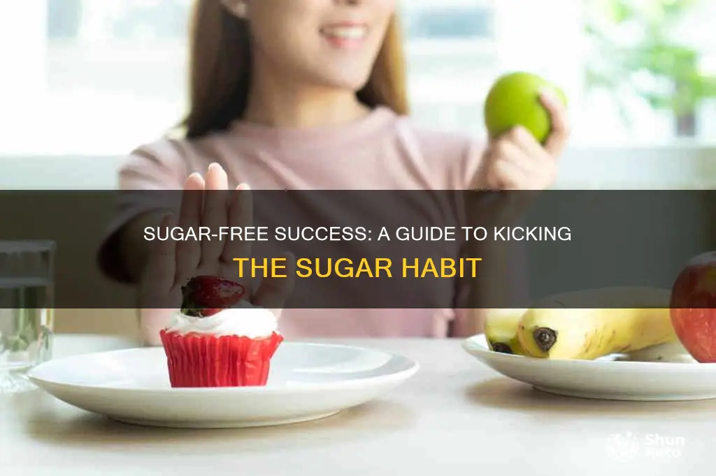 Sugar-Free Success: A Guide To Kicking The Sugar Habit | ShunKeto
