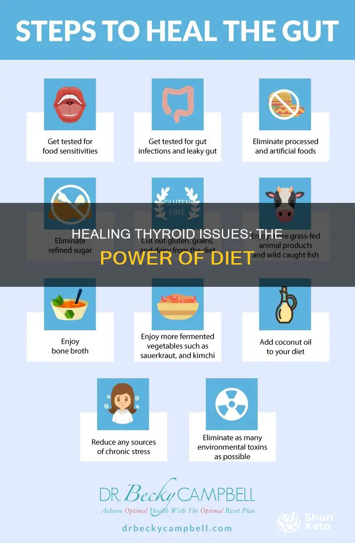 Healing Thyroid Issues: The Power Of Diet | ShunKeto