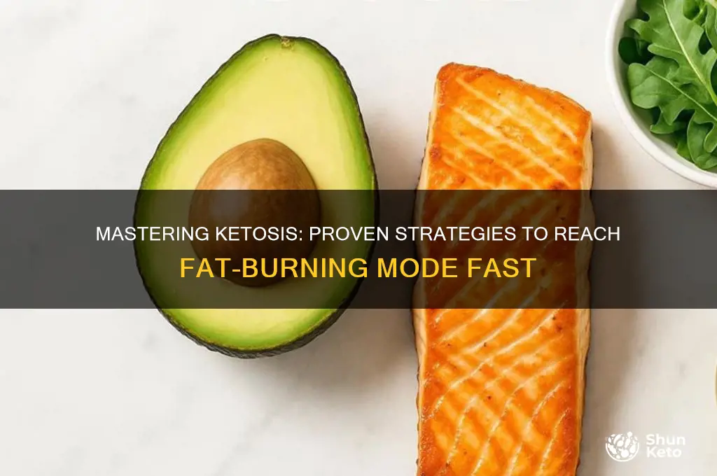 Mastering Ketosis: Proven Strategies To Reach Fat-Burning Mode Fast ...