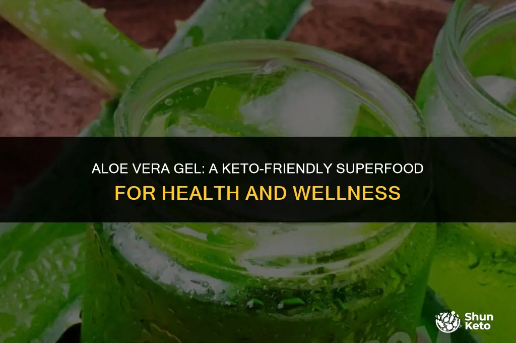 Aloe Vera Gel: A Keto-Friendly Superfood For Health And Wellness | ShunKeto