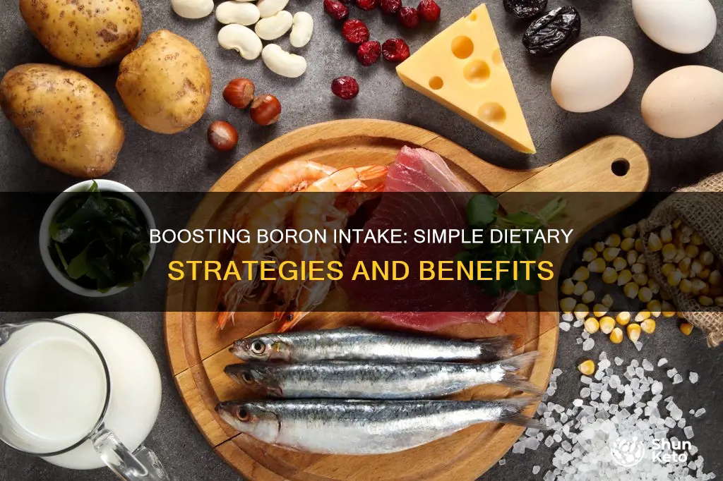 Boosting Boron Intake: Simple Dietary Strategies And Benefits | ShunKeto