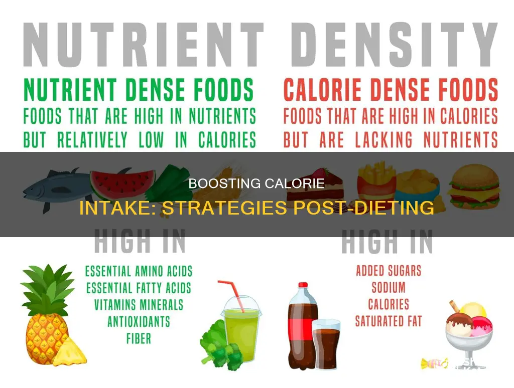 Boosting Calorie Intake: Strategies Post-Dieting | ShunKeto