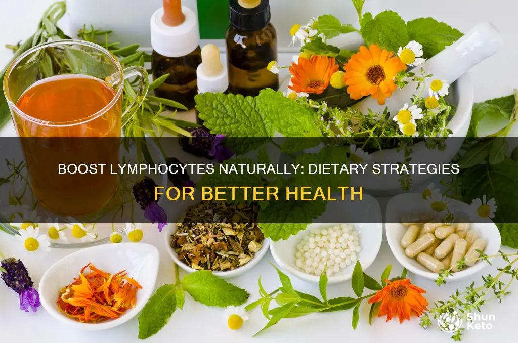 Boost Lymphocytes Naturally: Dietary Strategies For Better Health ...