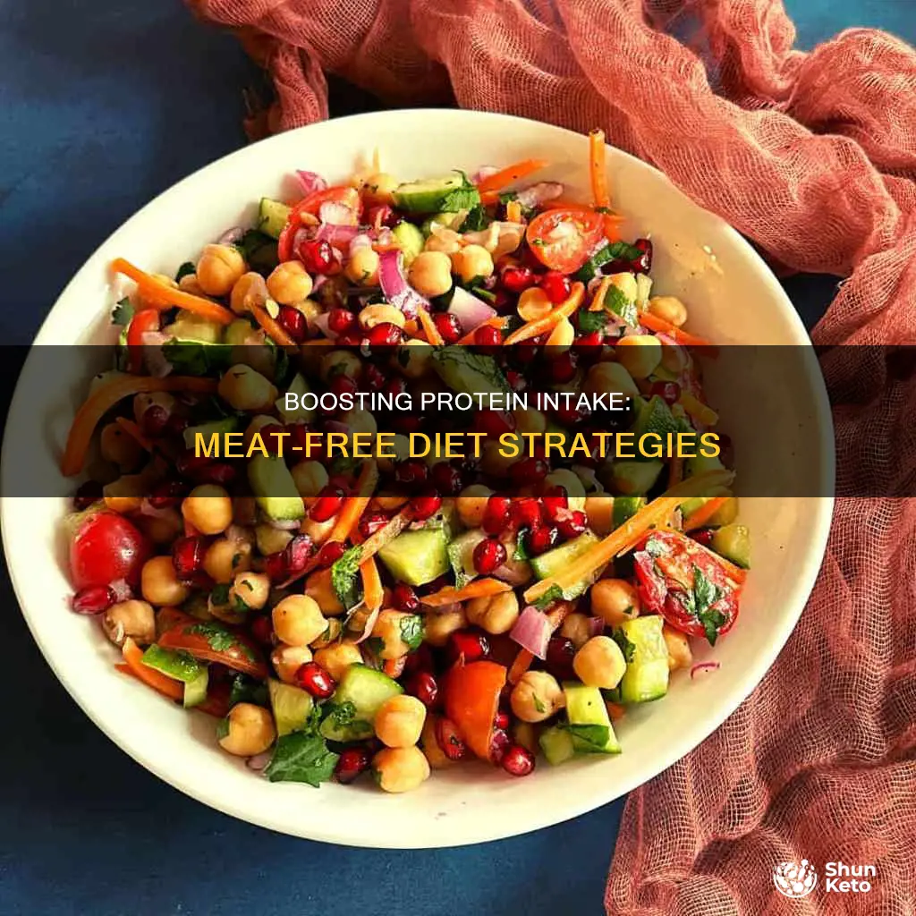 Boosting Protein Intake: Meat-Free Diet Strategies | ShunKeto