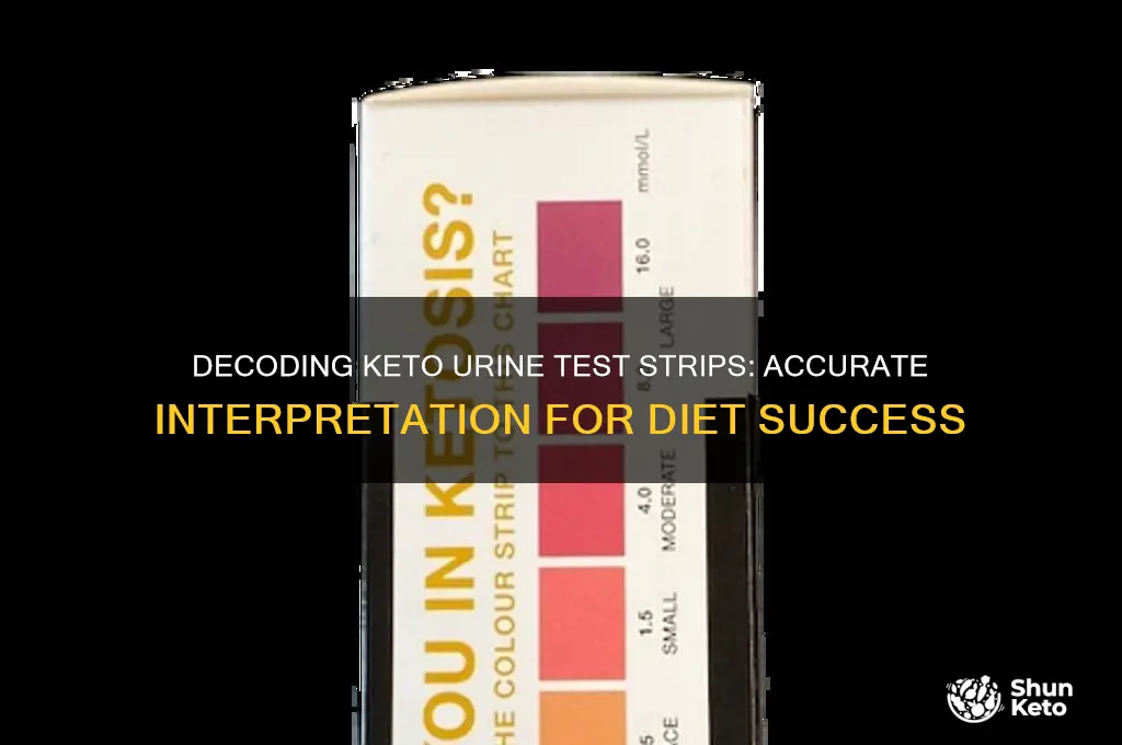Decoding Keto Urine Test Strips: Accurate Interpretation For Diet ...