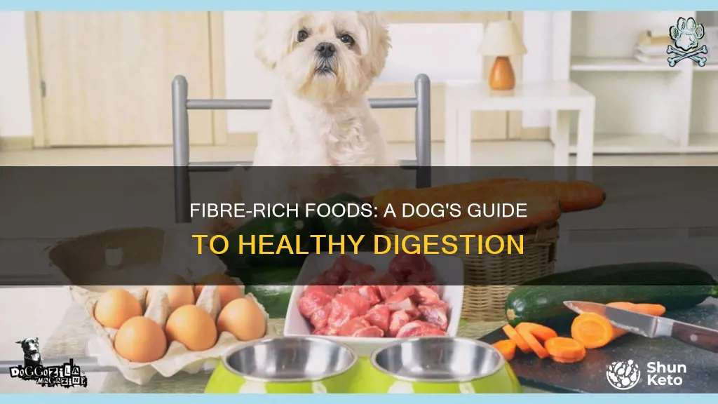 Fibre-Rich Foods: A Dog's Guide To Healthy Digestion | ShunKeto